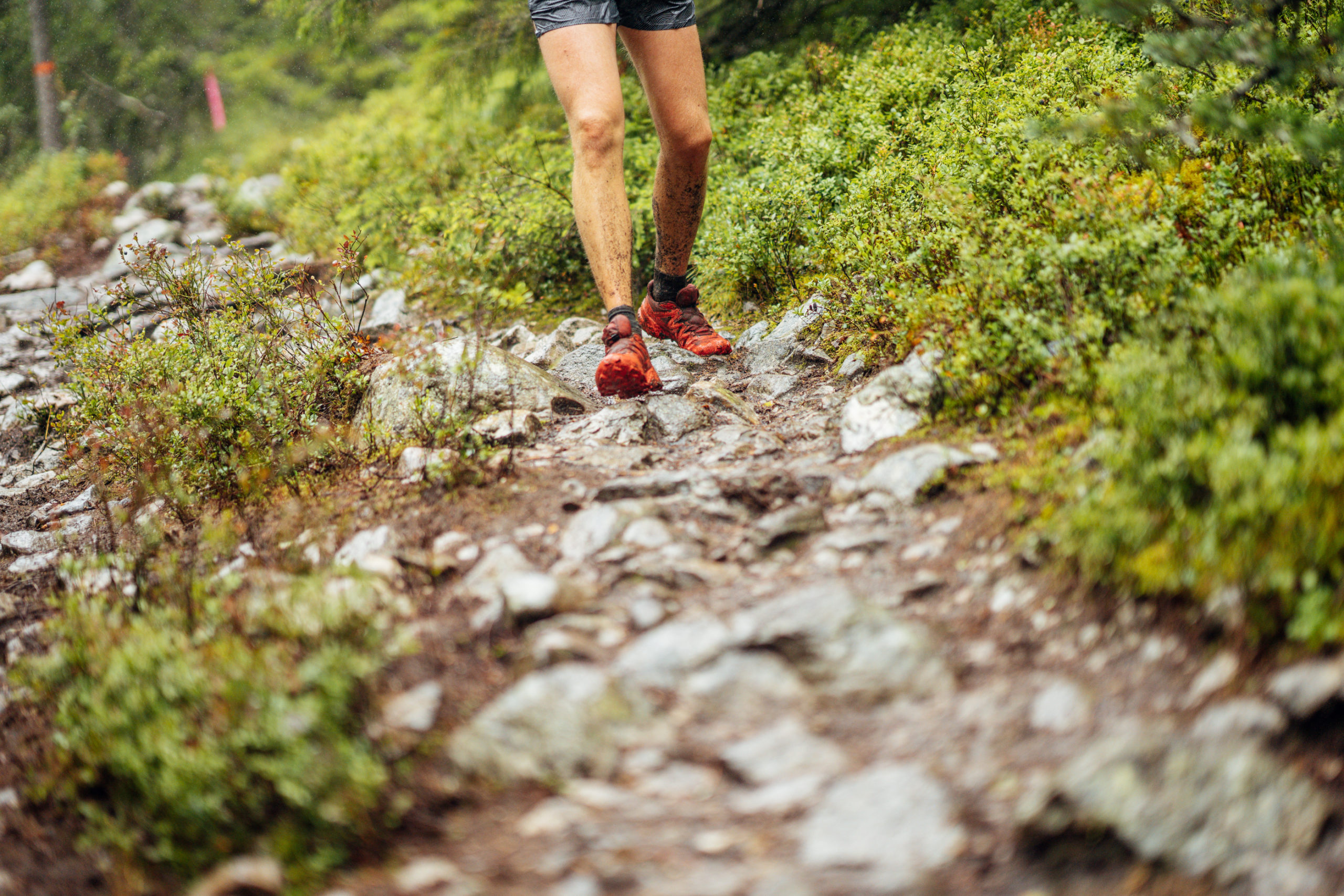 5 tips för en bättre trailteknik | Trailrunning Sweden Trailrunning Sweden