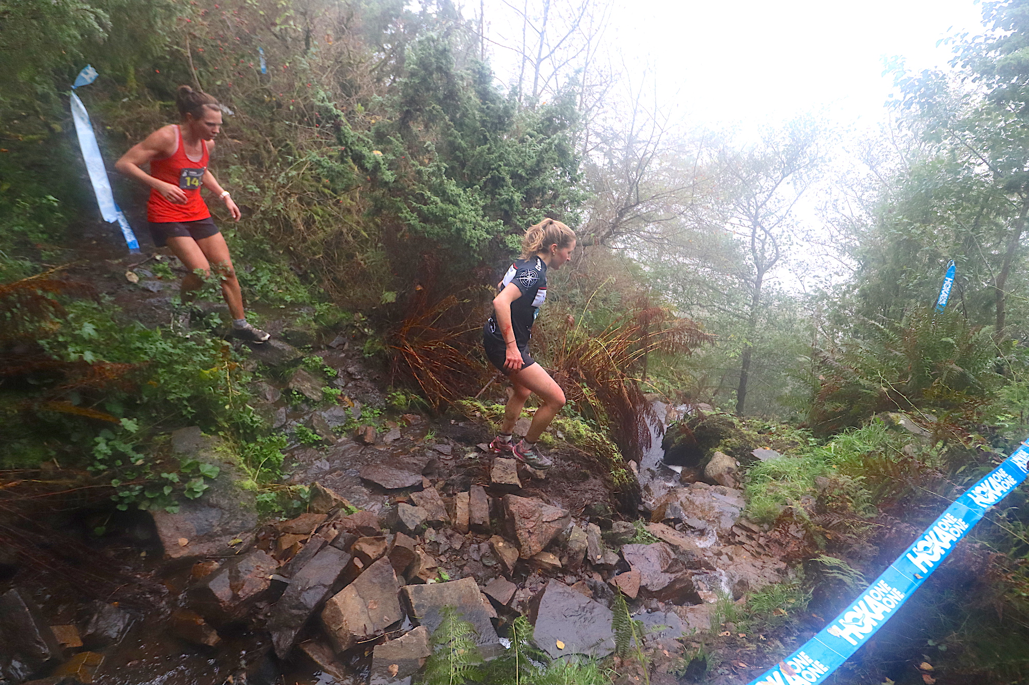 Veckans pass: Backe upp – och ner | Trailrunning Sweden Trailrunning Sweden