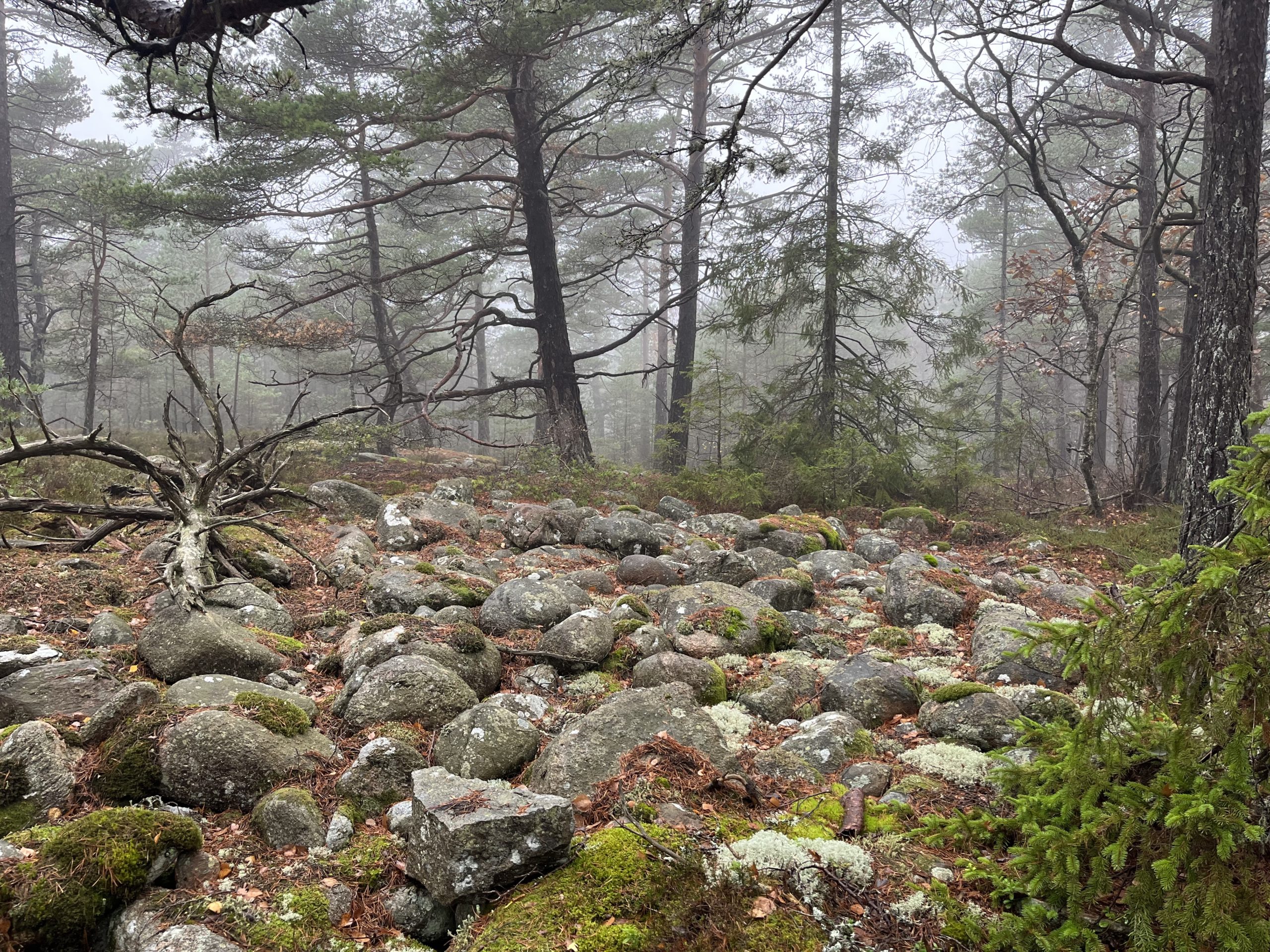 Den här veckan tränar vi på sten - Trailrunning Sweden Trailrunning Sweden