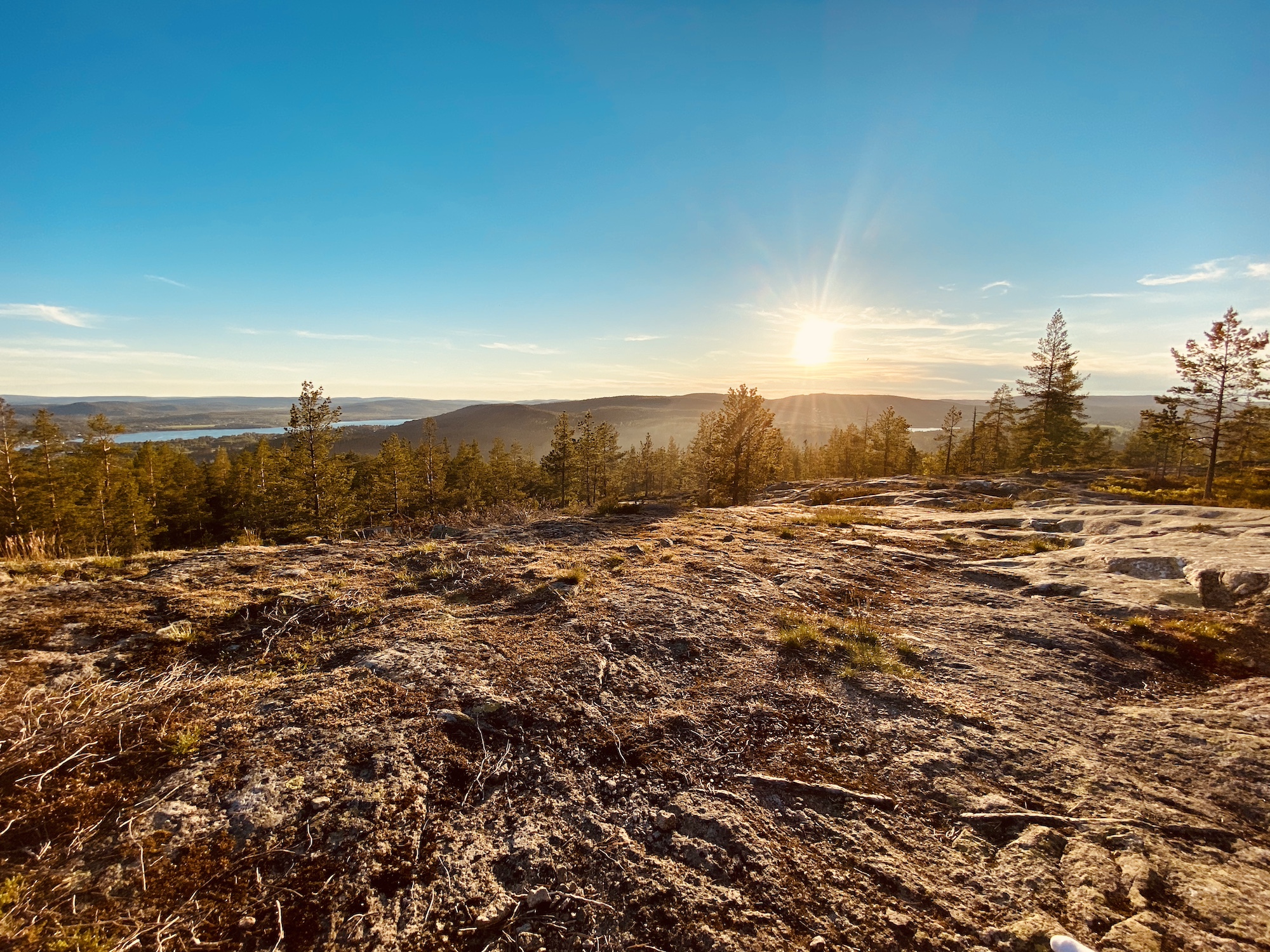 Möt loppen i Outnorth Trailtour – Atea TrailÖvik - Trailrunning Sweden ...