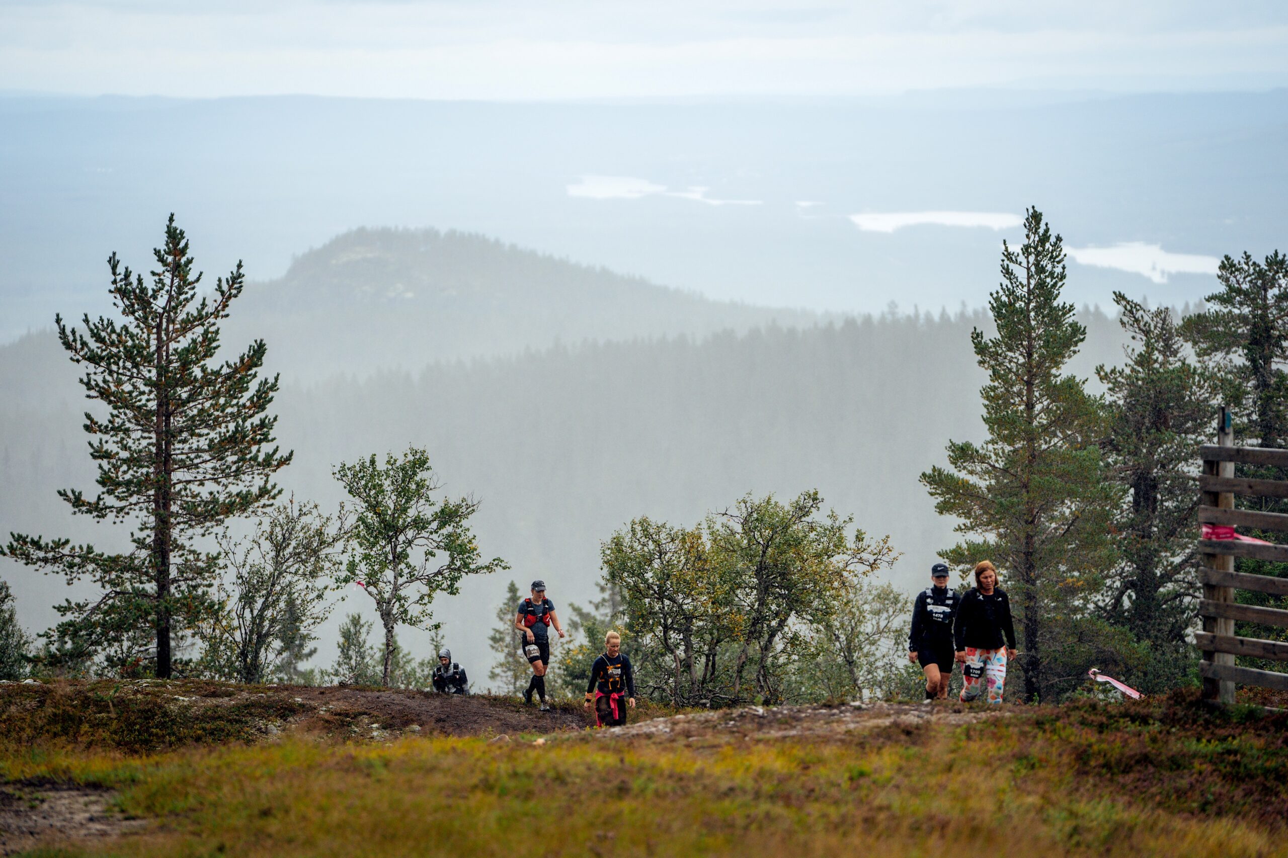 Veckans Pass - backe upp och ner | Trailrunning Sweden Trailrunning Sweden