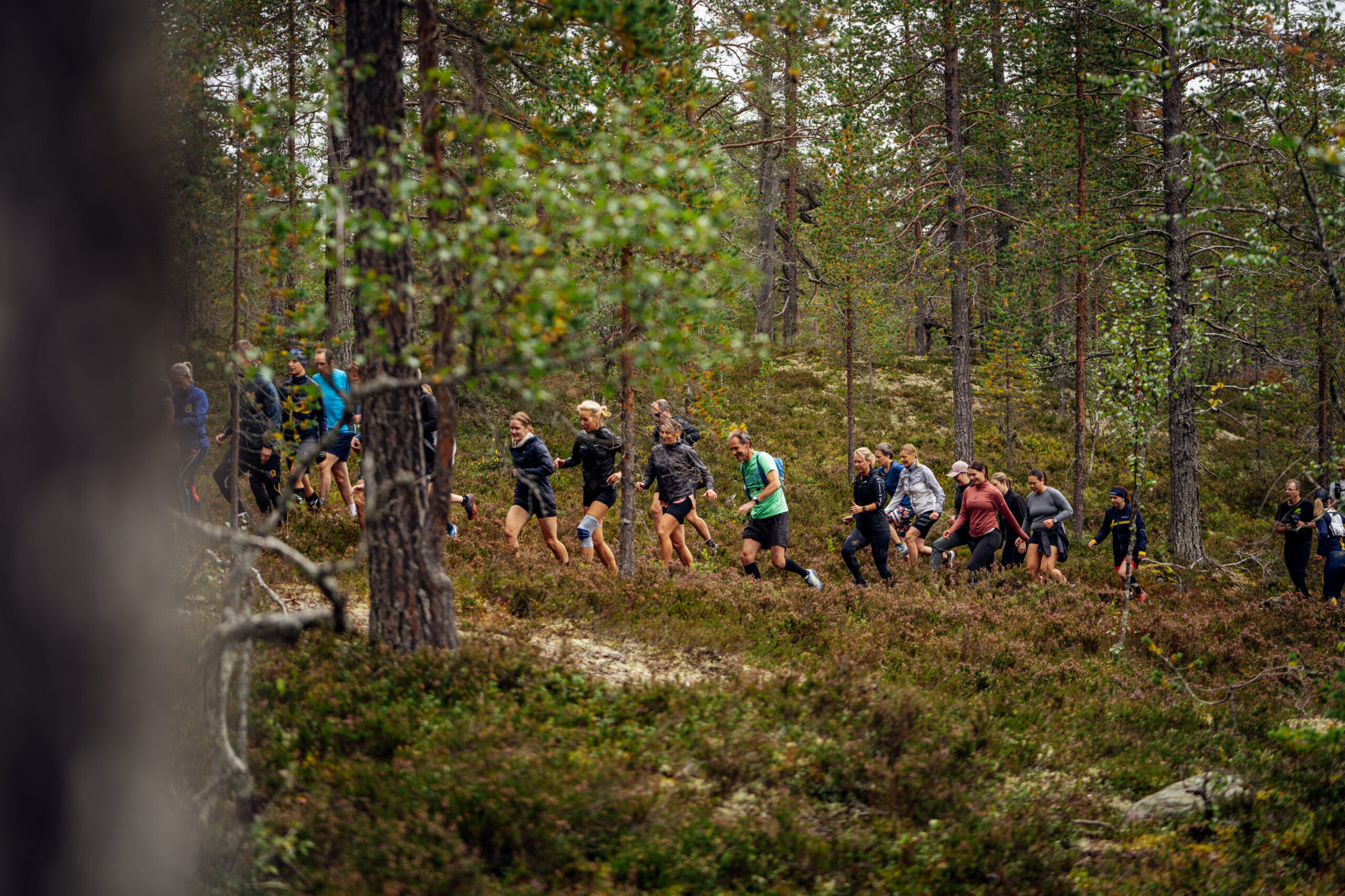 Pop up Runs | Trailrunning Sweden Trailrunning Sweden